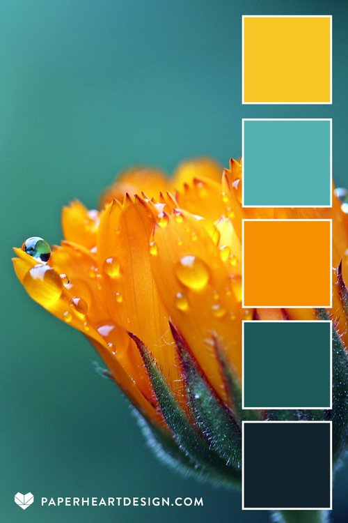 Color Palette: Top 10 of 2022 — Paper Heart Design Co.