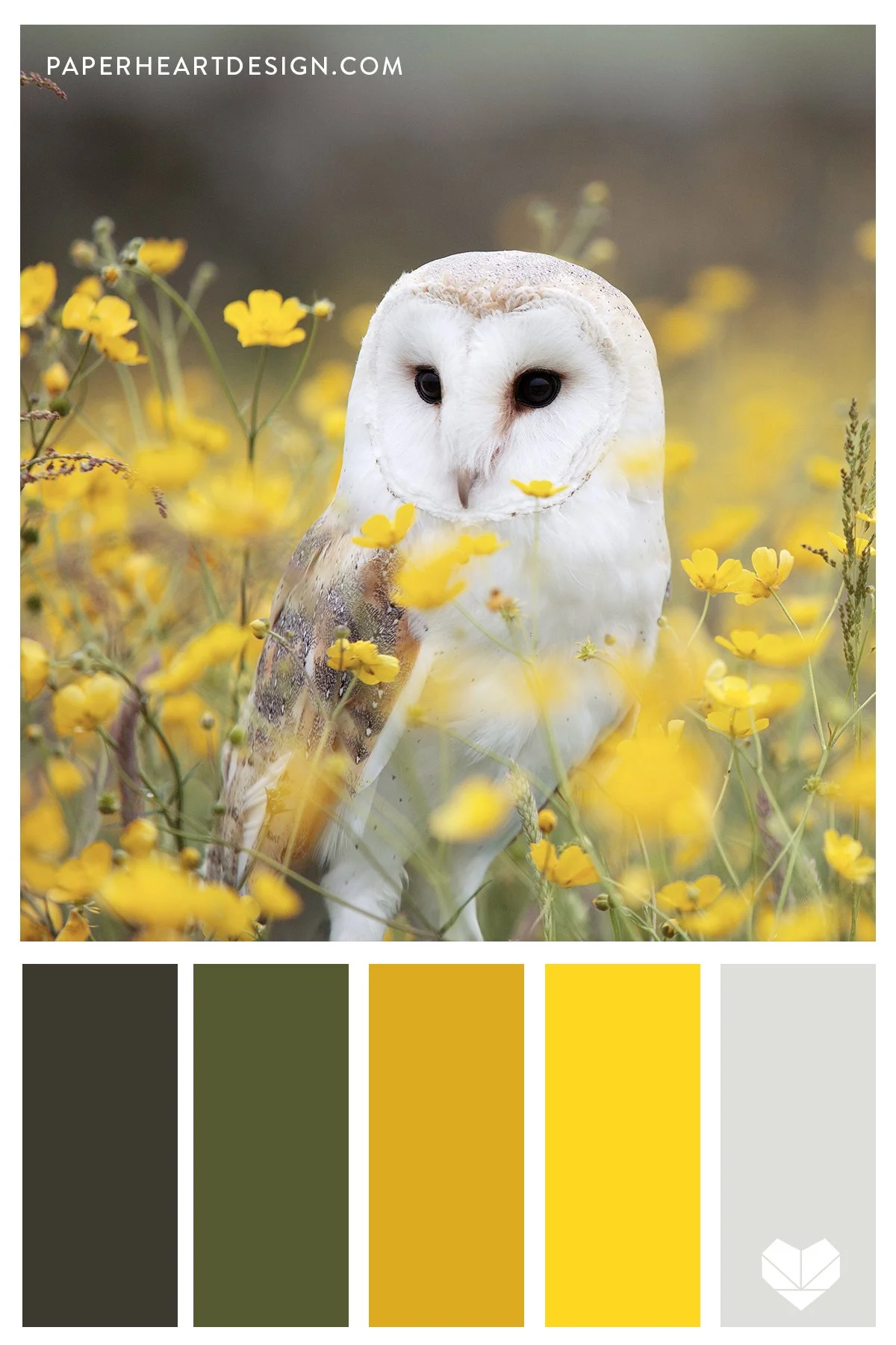 Color Palette: Feathered Friends — Paper Heart Design Co.