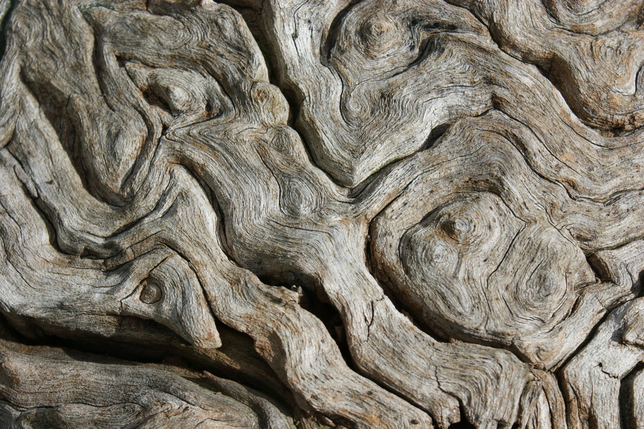 Timber Pre-coating, Colour Consultation, Colour Matching — Grimes ...
