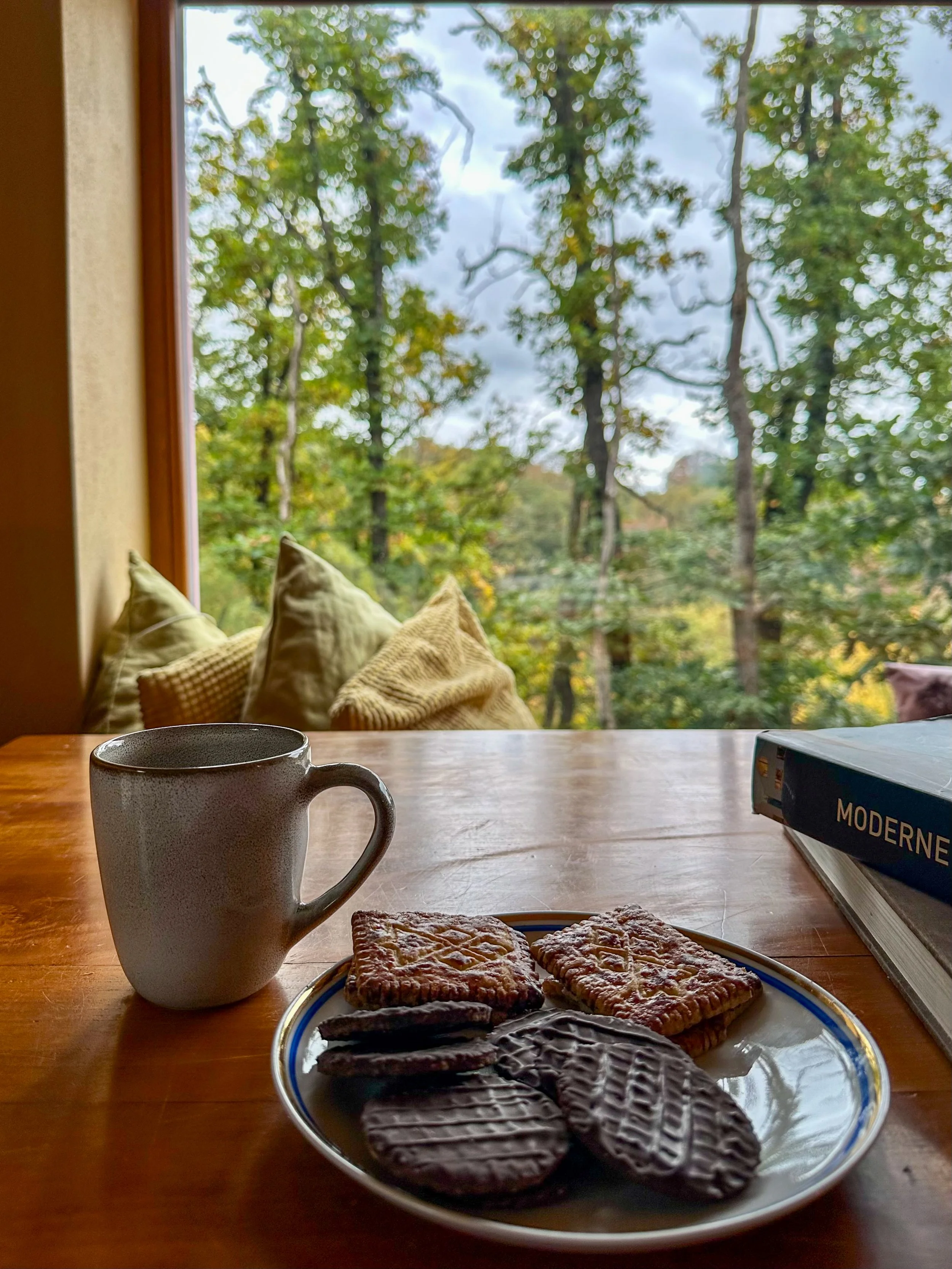 Rückblick 2025 und Ausblick 2026 — [SI-MODULAR]