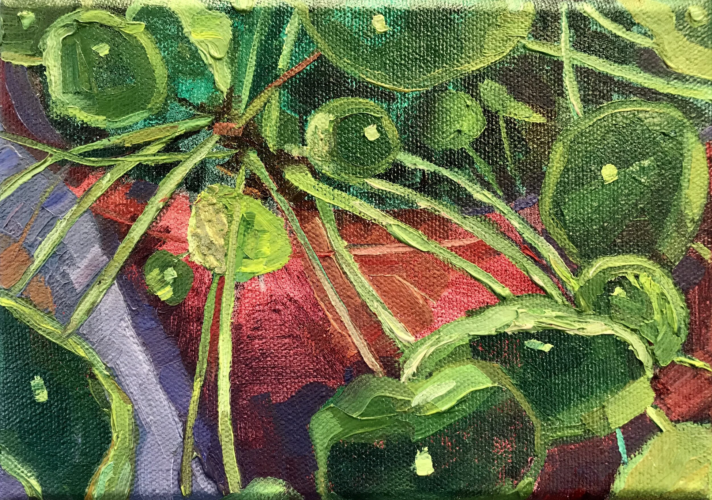 Floral — Isabel Emrich