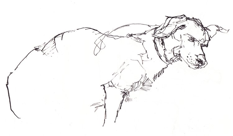 Madeleine Floyd - Drawing