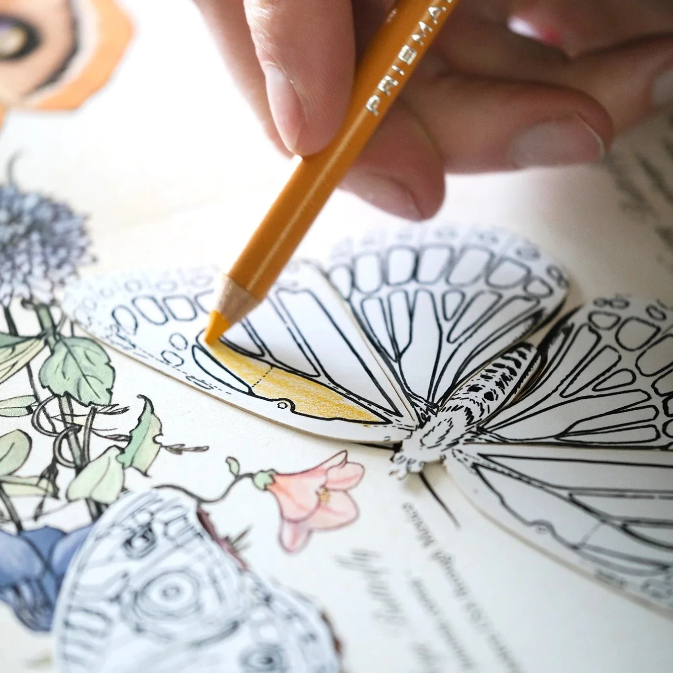 Art Supplies, Journals, and Creative Activities — Swallowfield