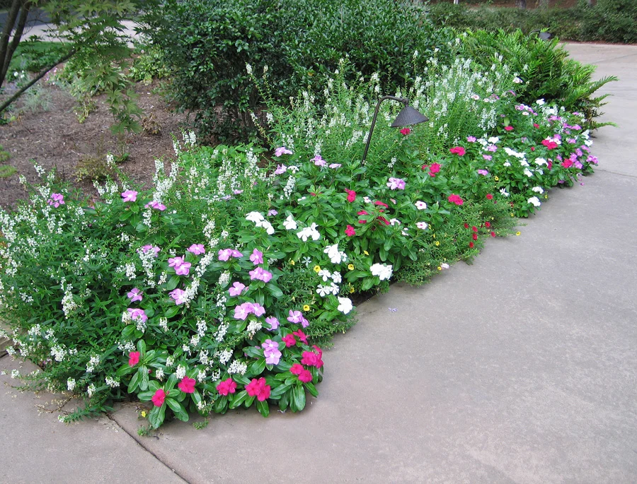 Featured Landscape Projects — Charlotte Landscaping | Full-Service ...