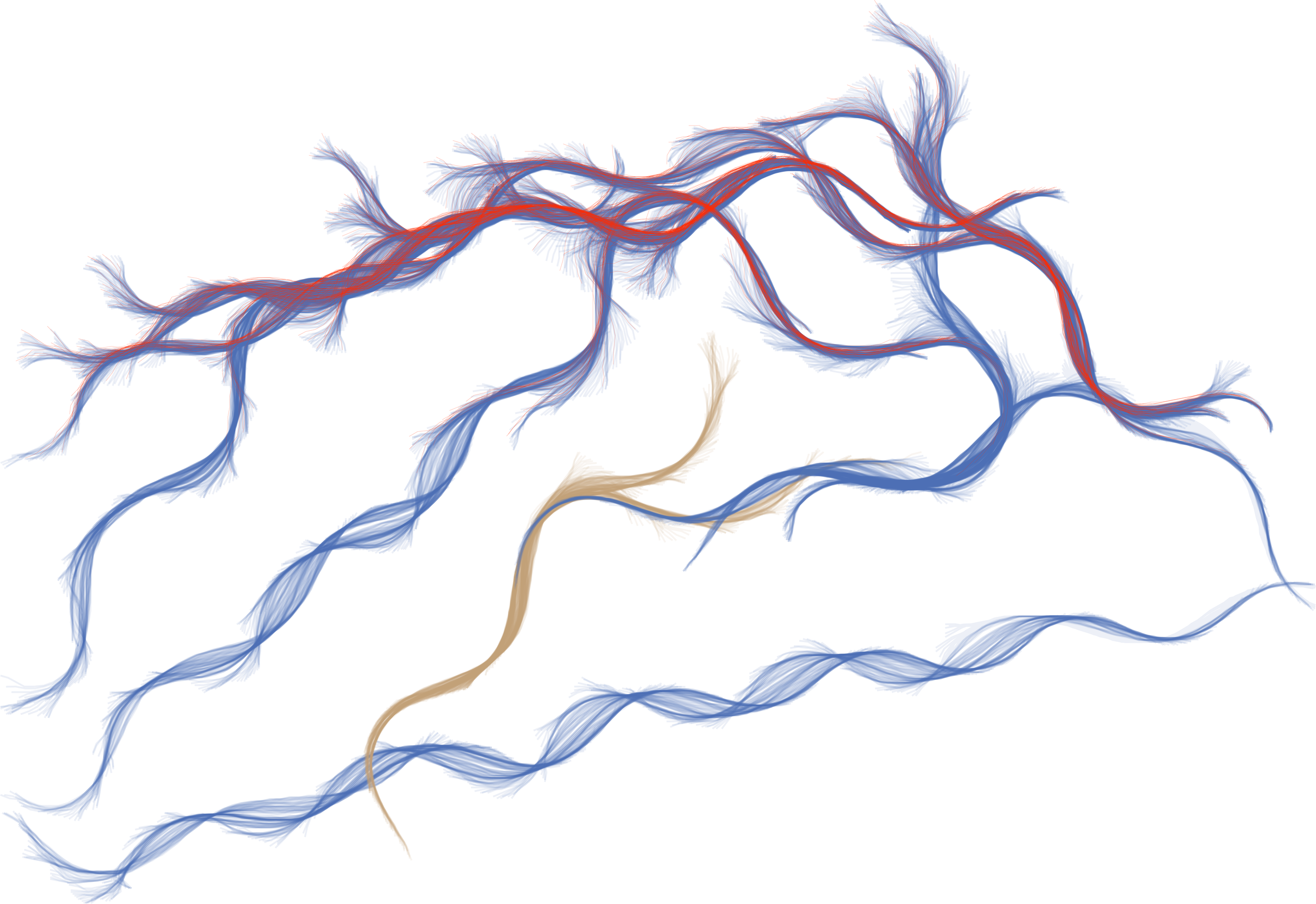 Behavioural Phenomics