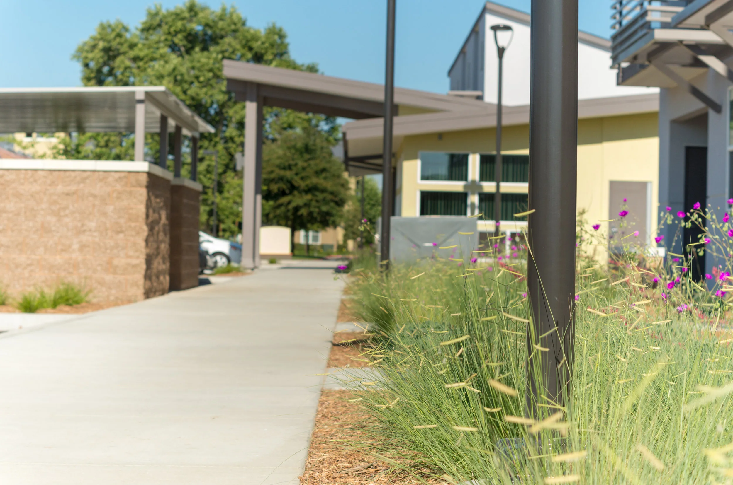 Parc Grove Commons — QUADRIGA