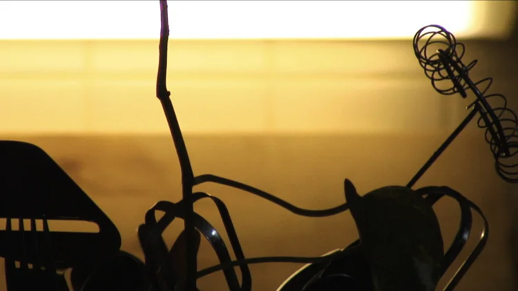 Koushik Sarkar - Short Films NEW 2019