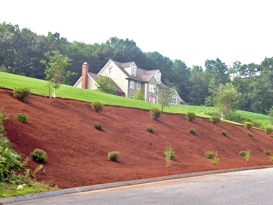 Longo Landscape Contractors