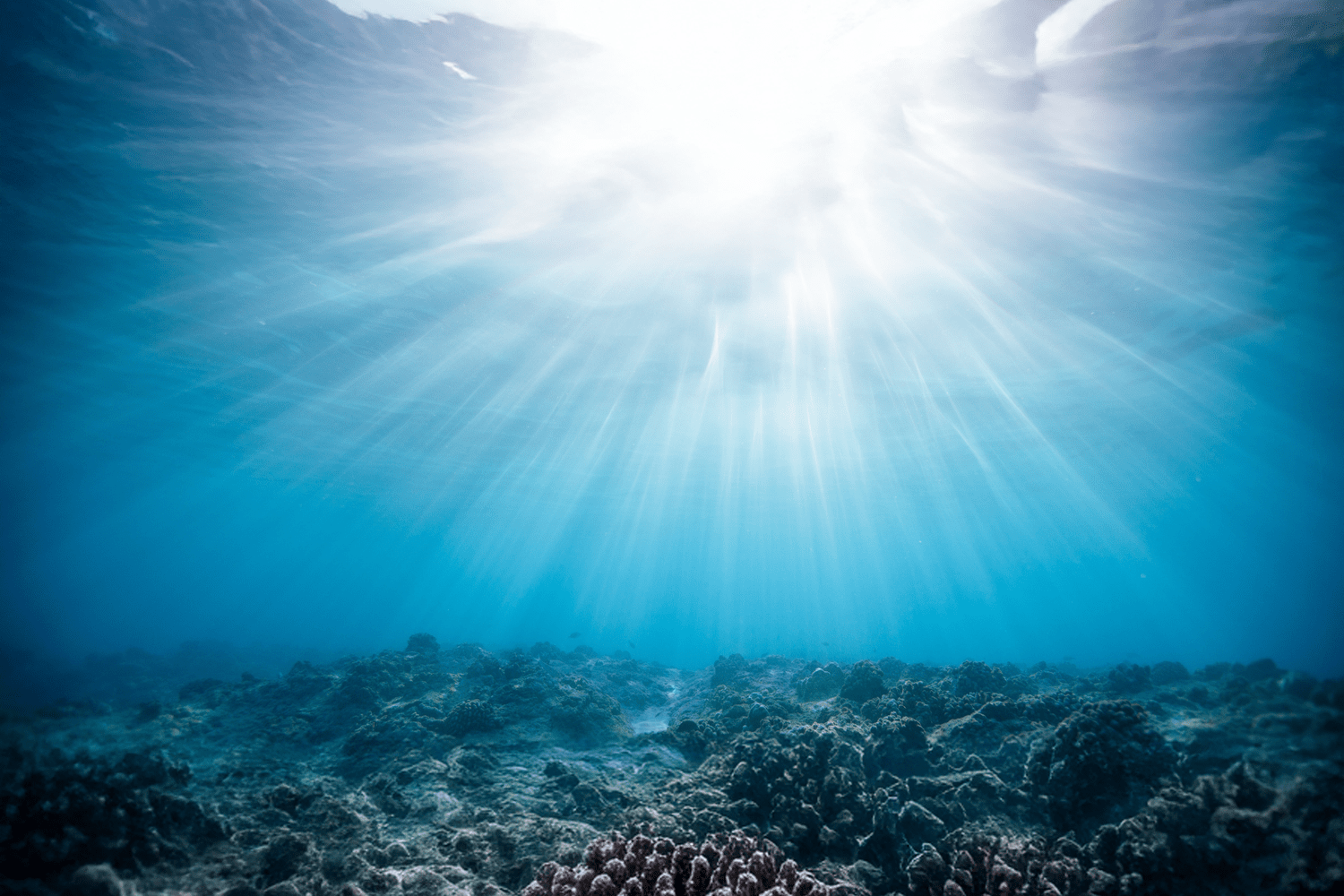 When the Ocean Becomes Medicine: Understanding Surf Therapy ...