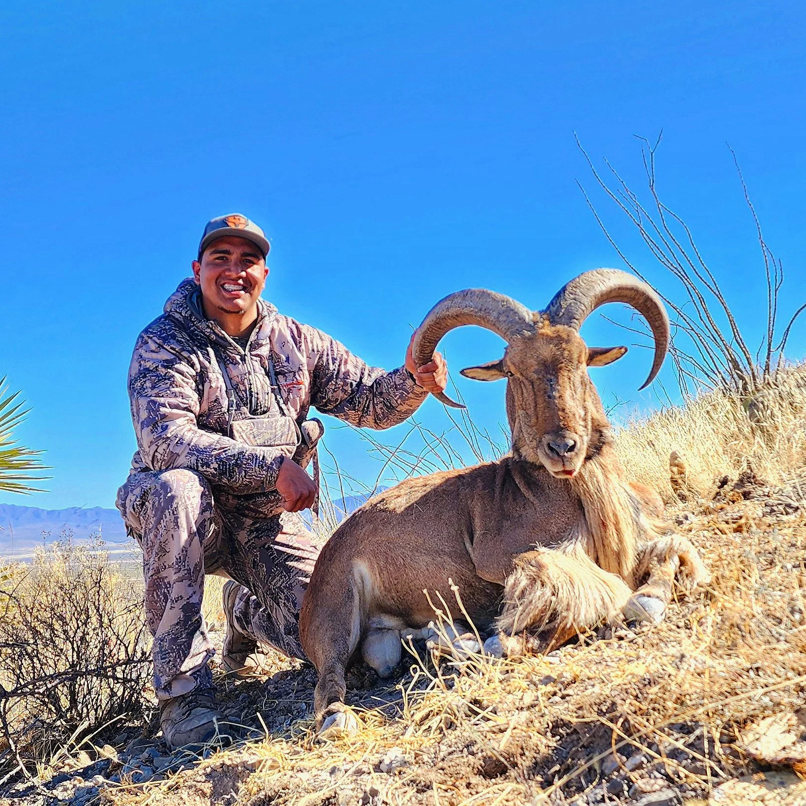 Aoudad Hunts — El Grande Outfitters