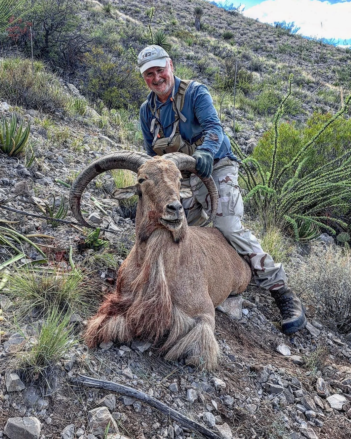 Aoudad Hunts — El Grande Outfitters