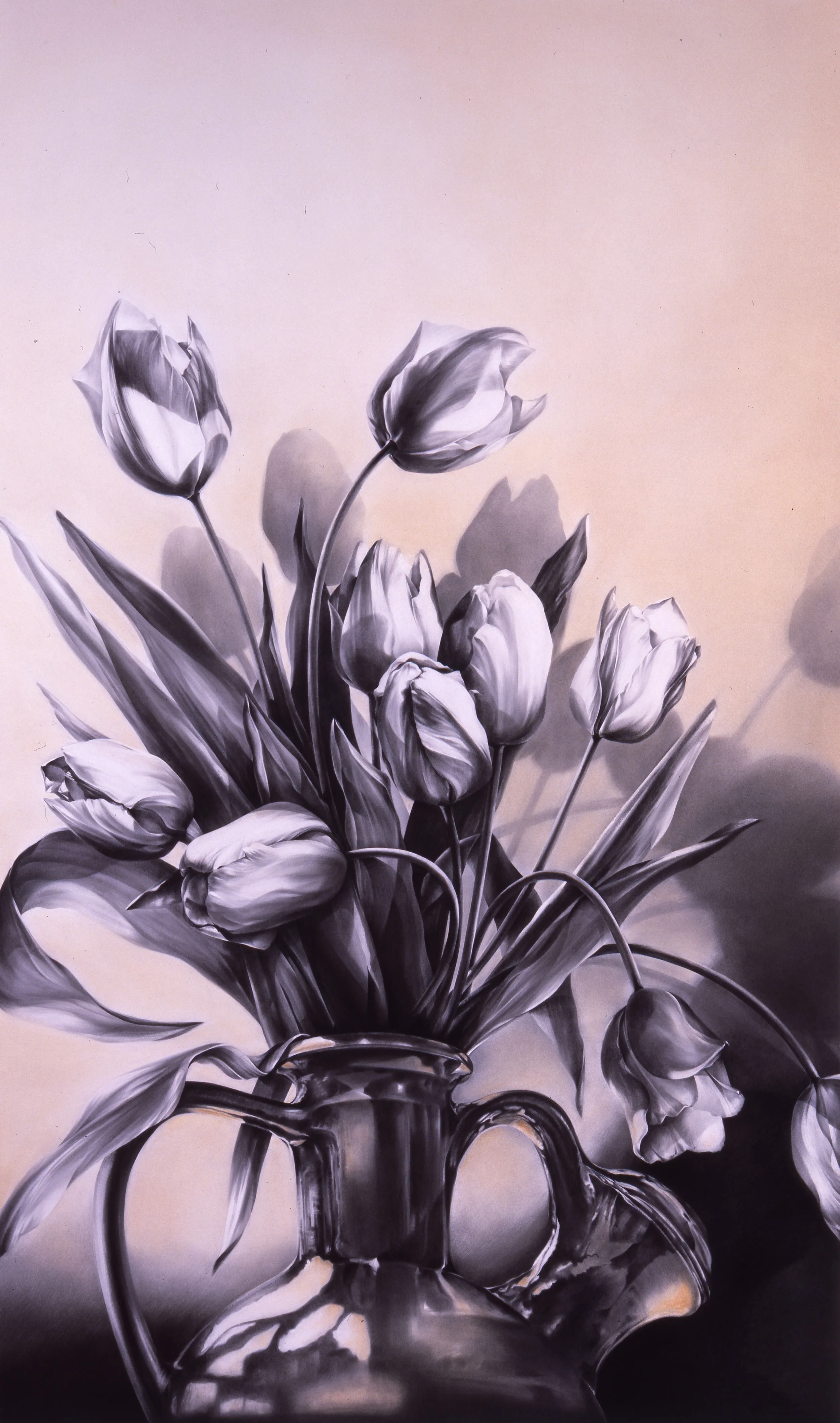 Still Life - Susan Manchester