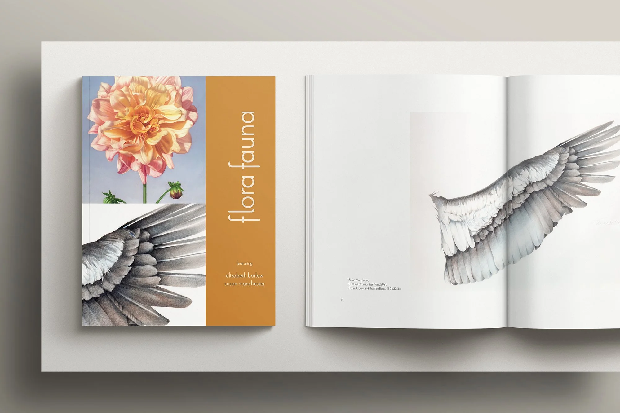 Flora Fauna Exhibition Catalog — SUSAN MANCHESTER