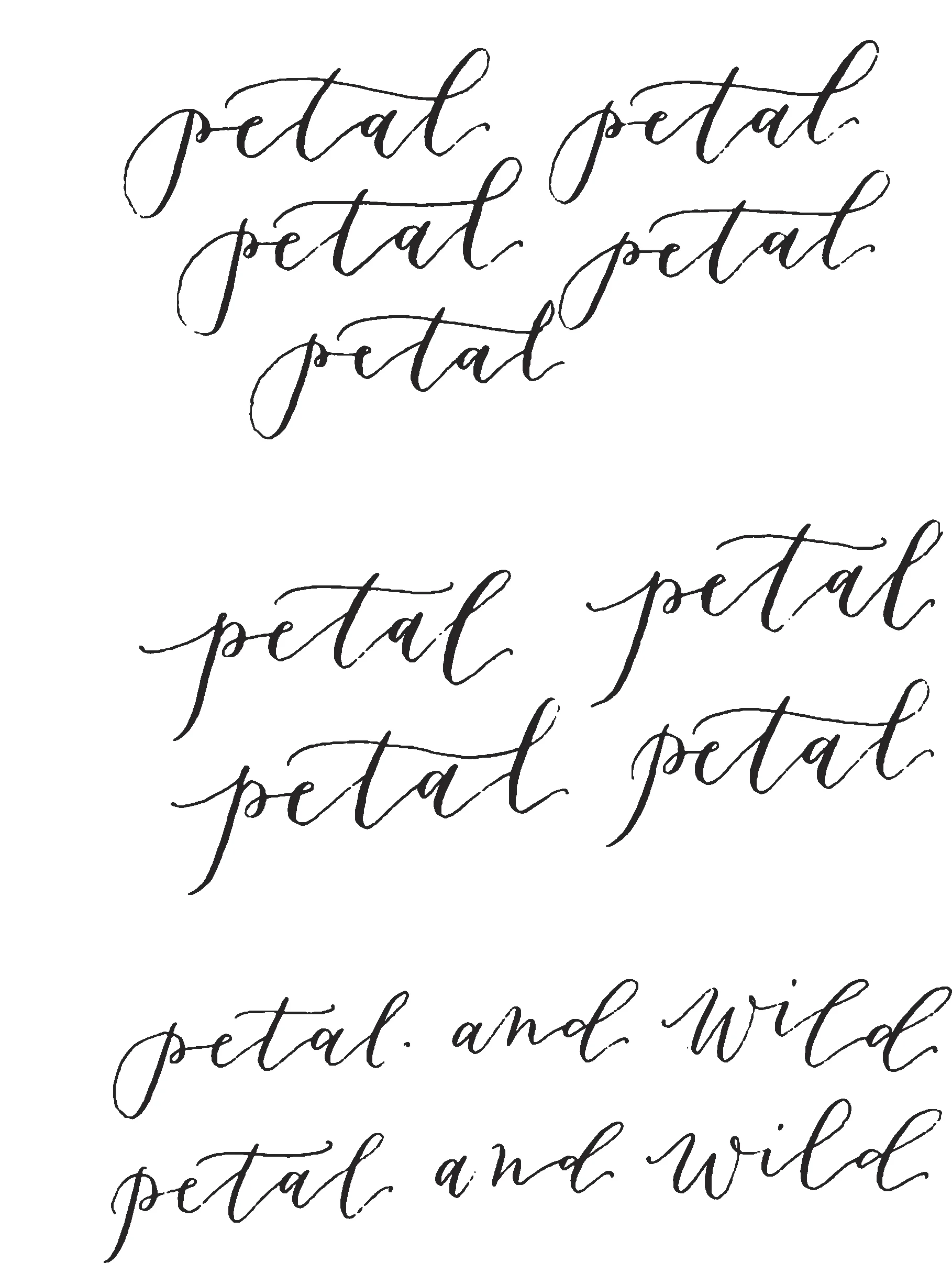 Branding - Petal and Wild — Gooseberry Moon