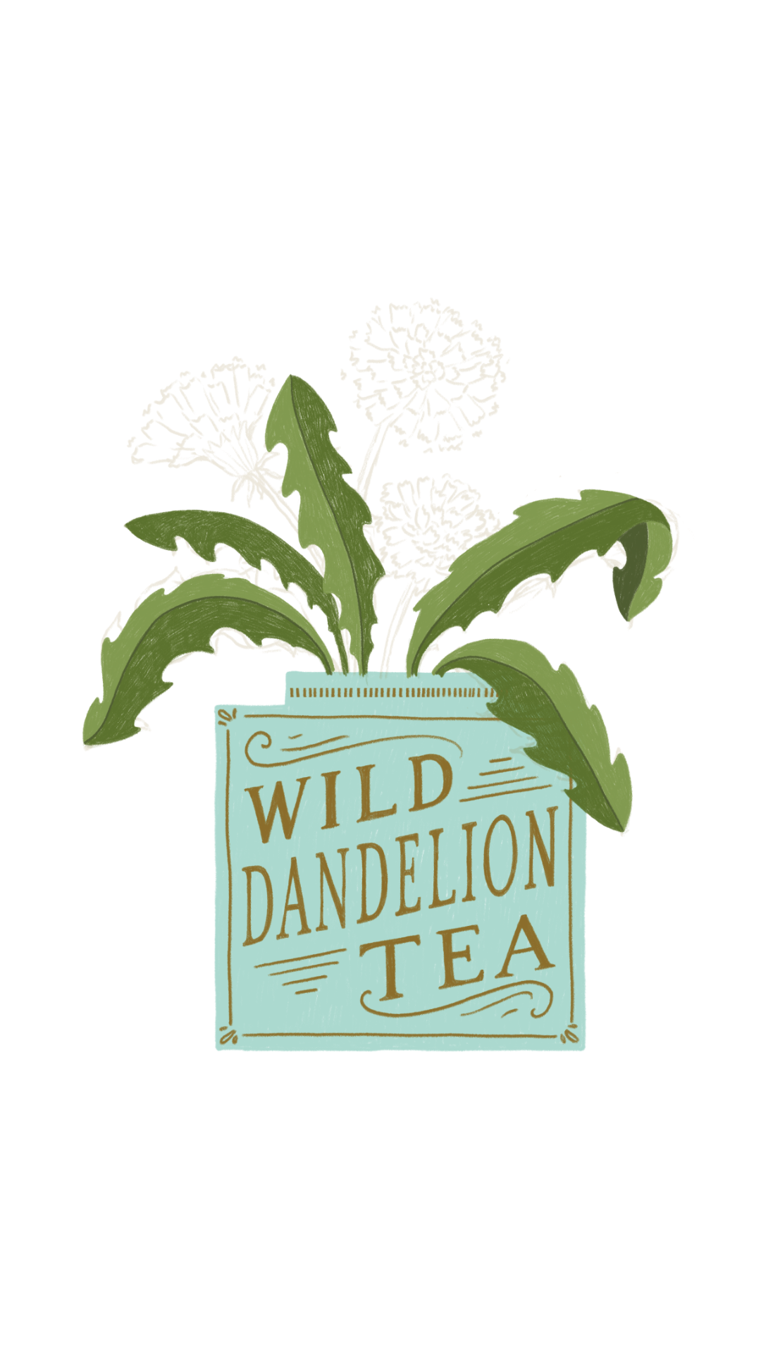The making of wild dandelion tea illustration — Gooseberry Moon