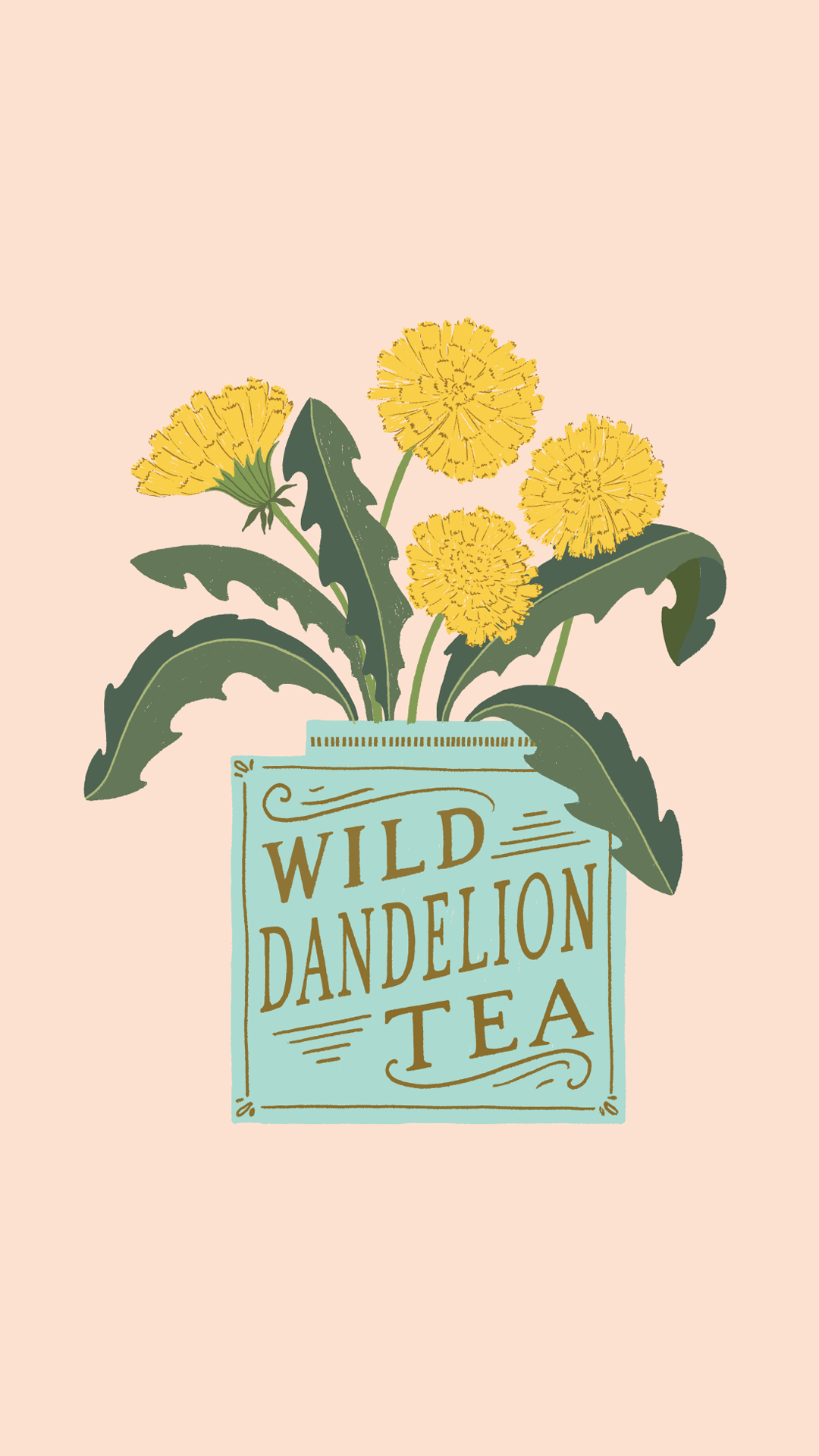 The making of wild dandelion tea illustration — Gooseberry Moon