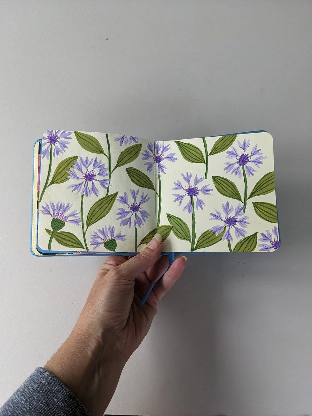 Sketchbook botanicals — Gooseberry Moon