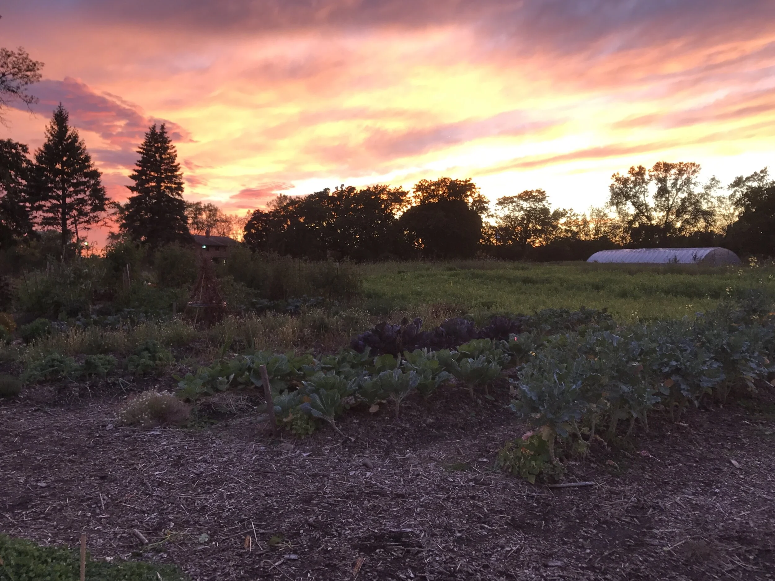 Contact & Location — Frogtown Farm