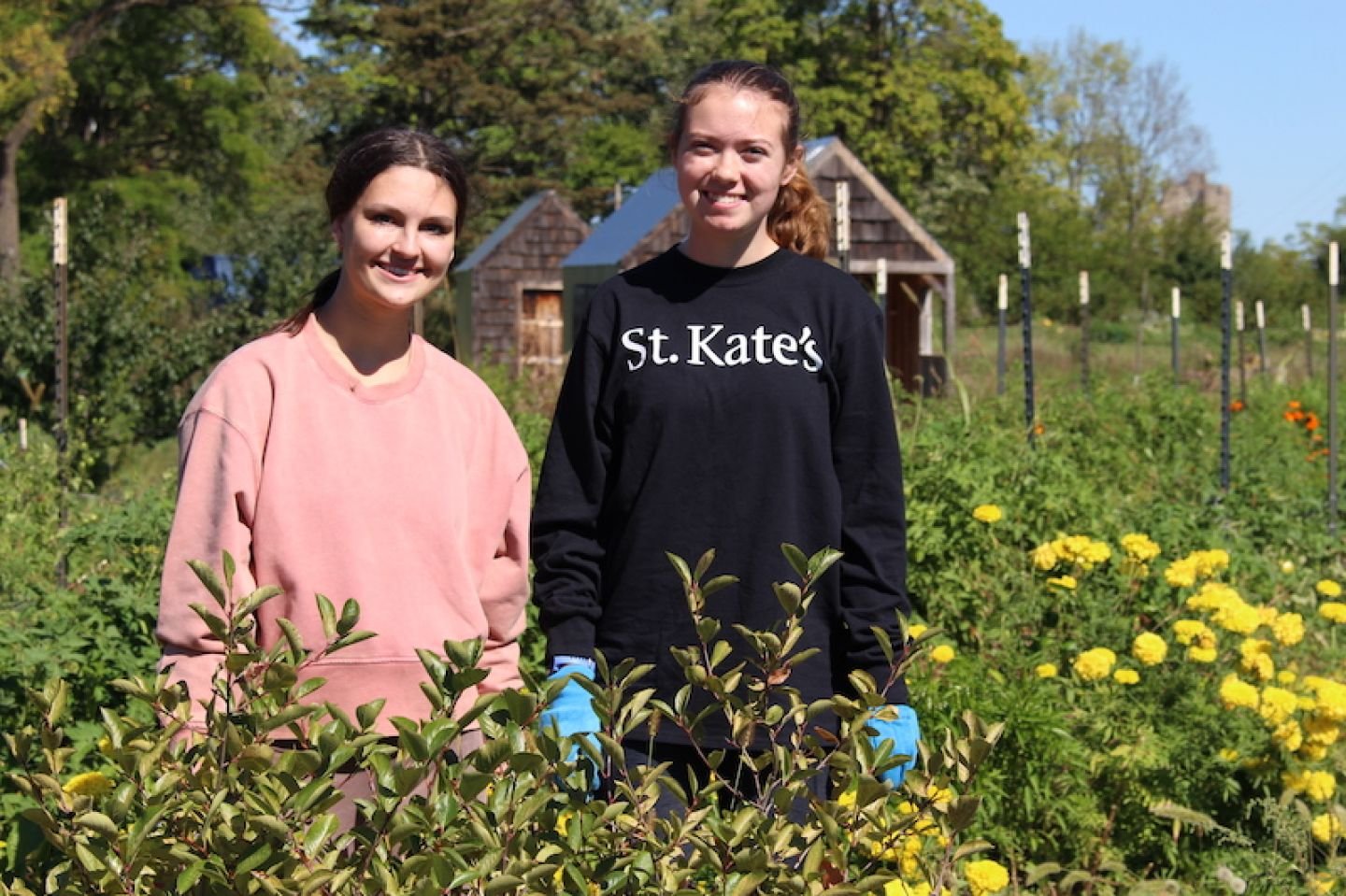 Our Story — Frogtown Farm