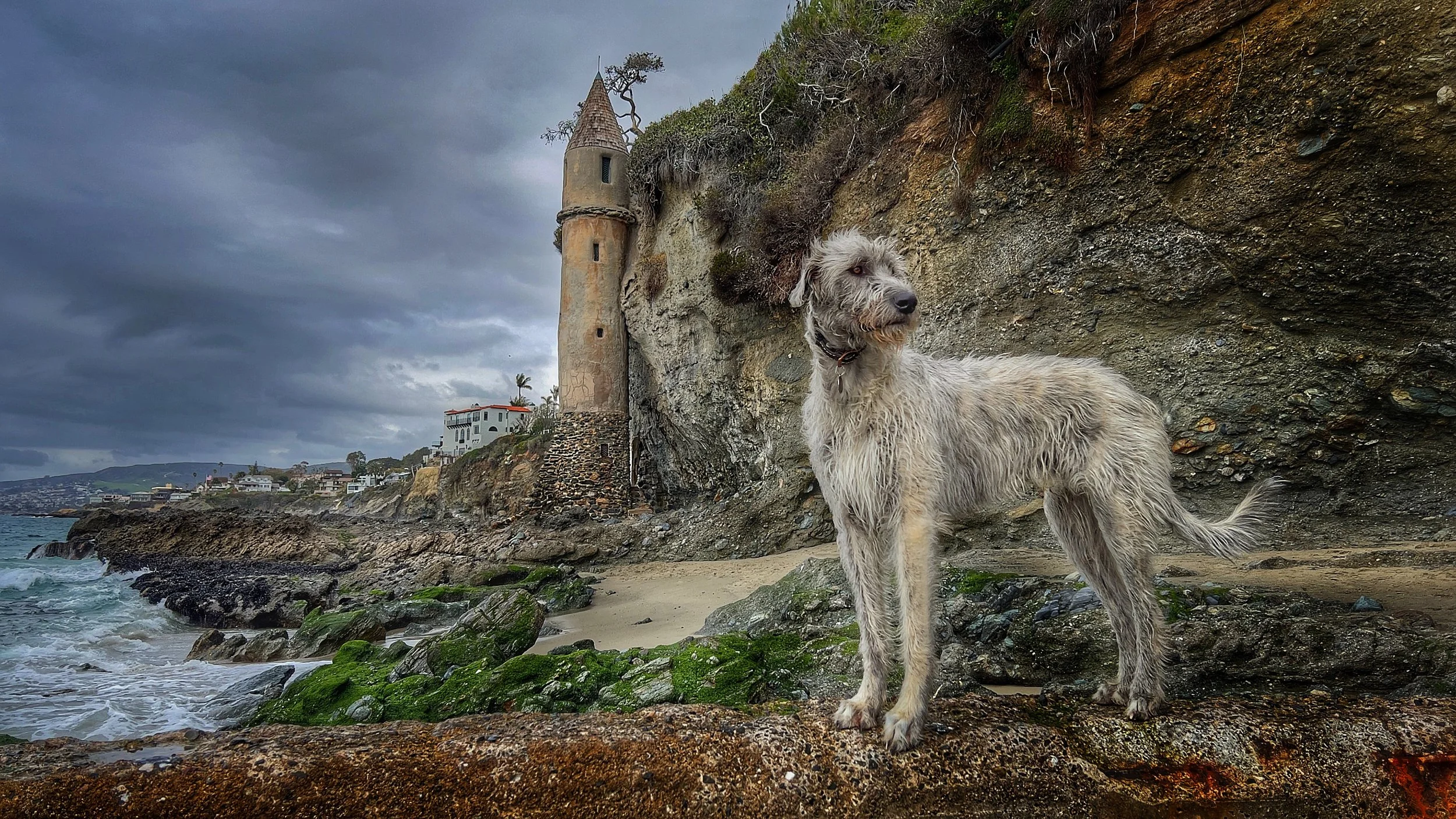 Why Winter is the Ideal Season for Portrait Sessions in Southern ...