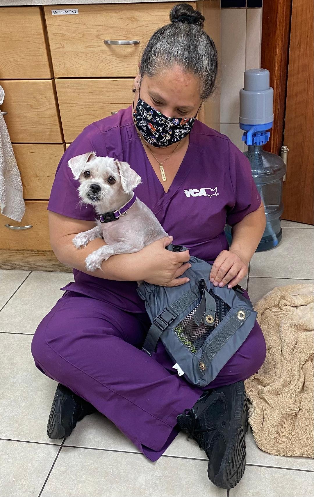 Foster — Fur-Angel Foundation