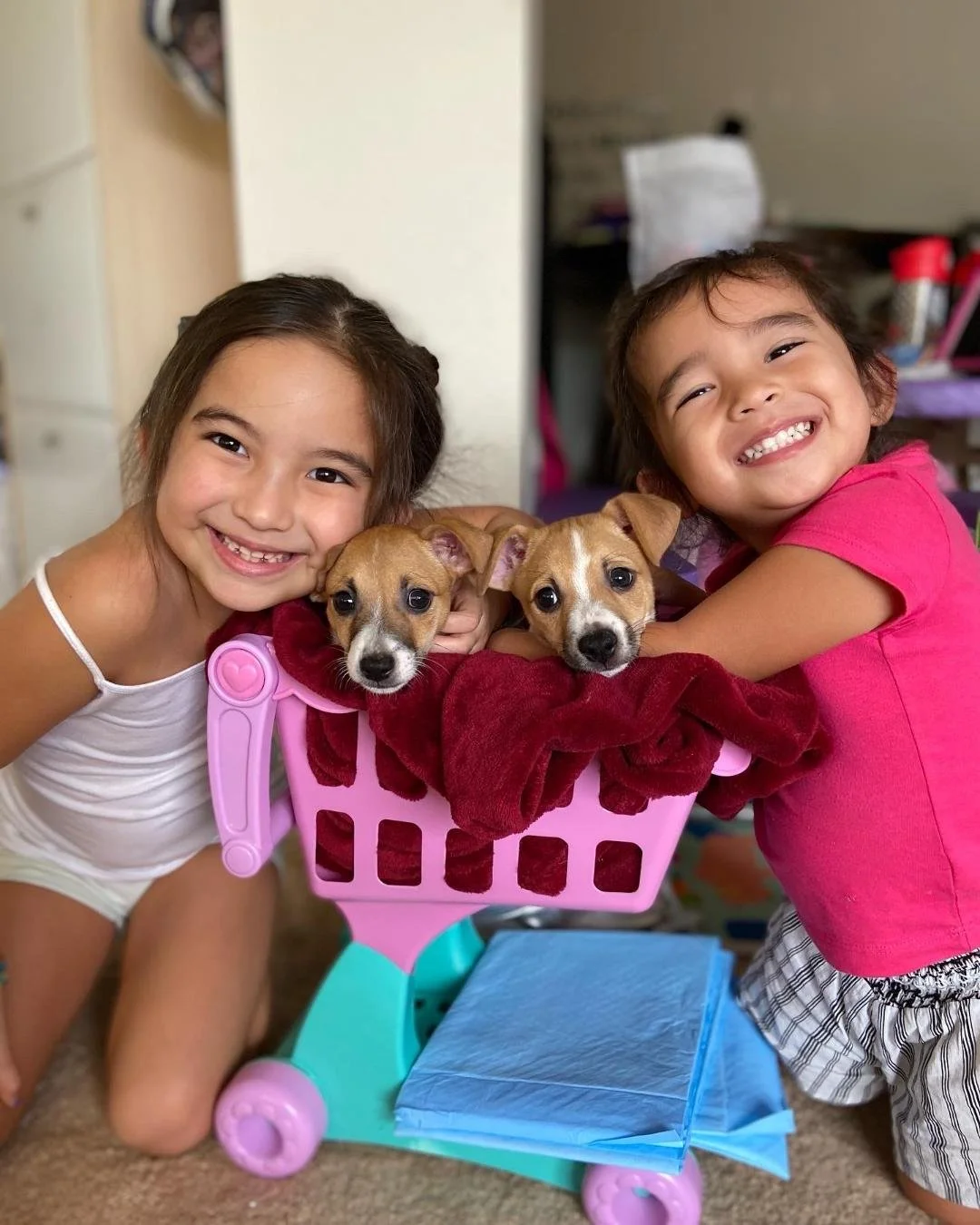 Foster — Fur-Angel Foundation