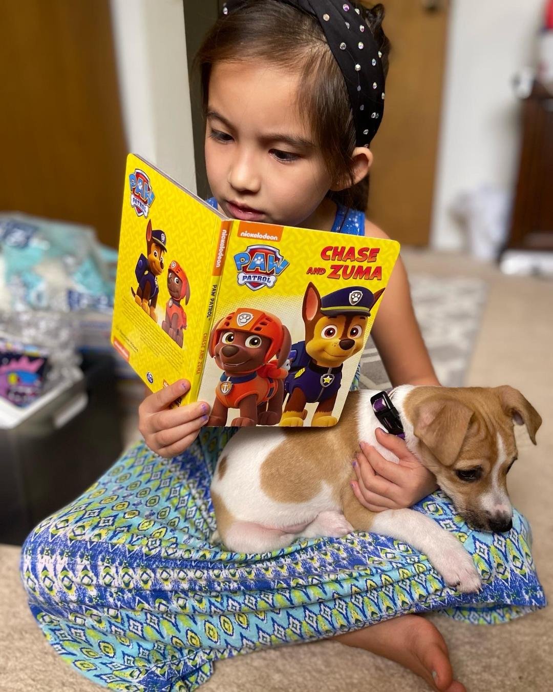 Foster — Fur-Angel Foundation