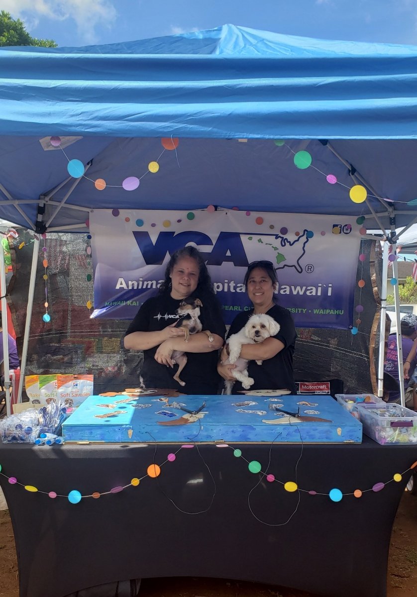 Foster — Fur-Angel Foundation