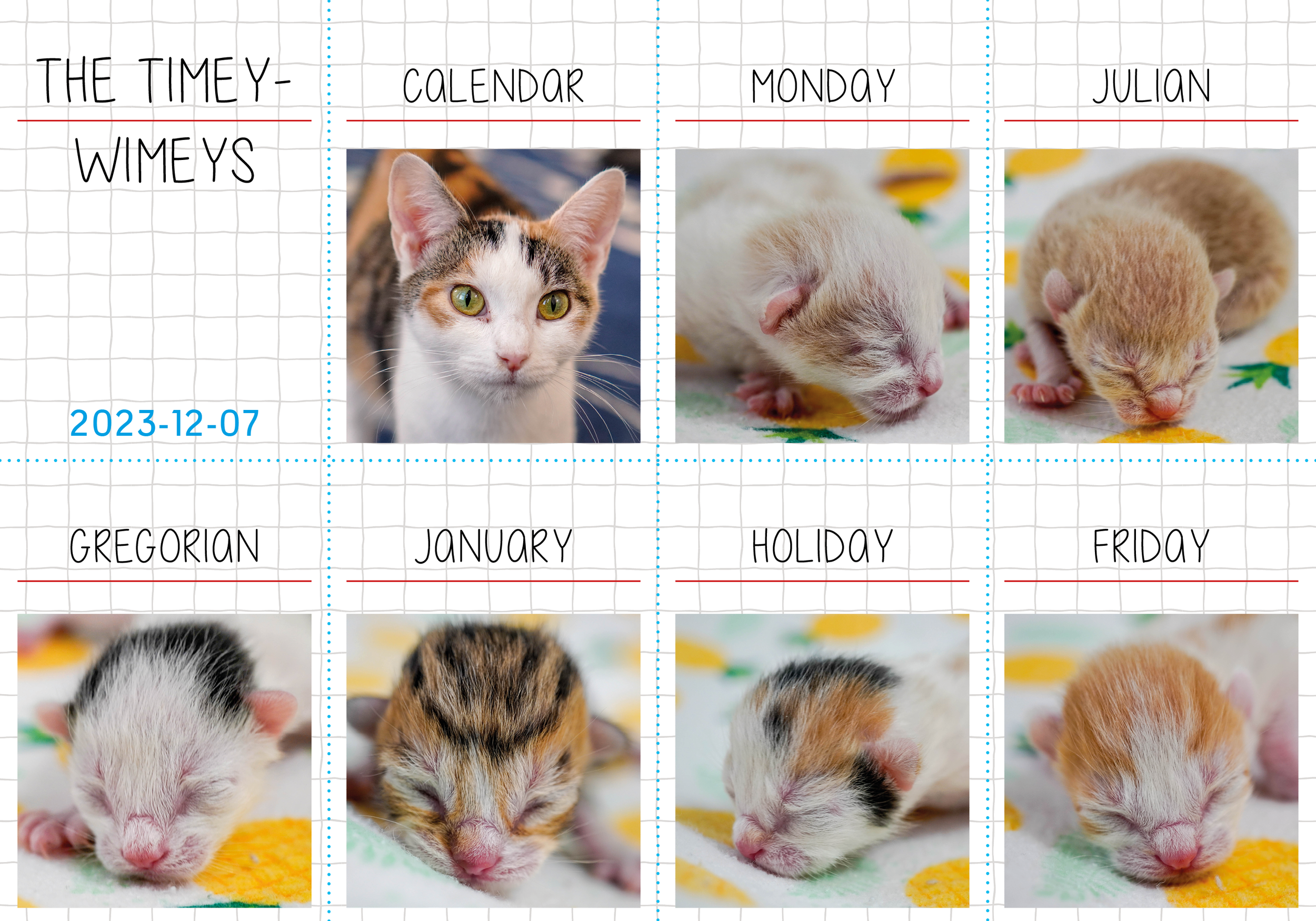 Welcome Callie and Her Timey-Wimeys! — Kitten Academy