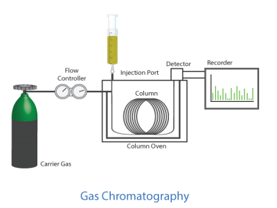 Gas Chromatography Animation