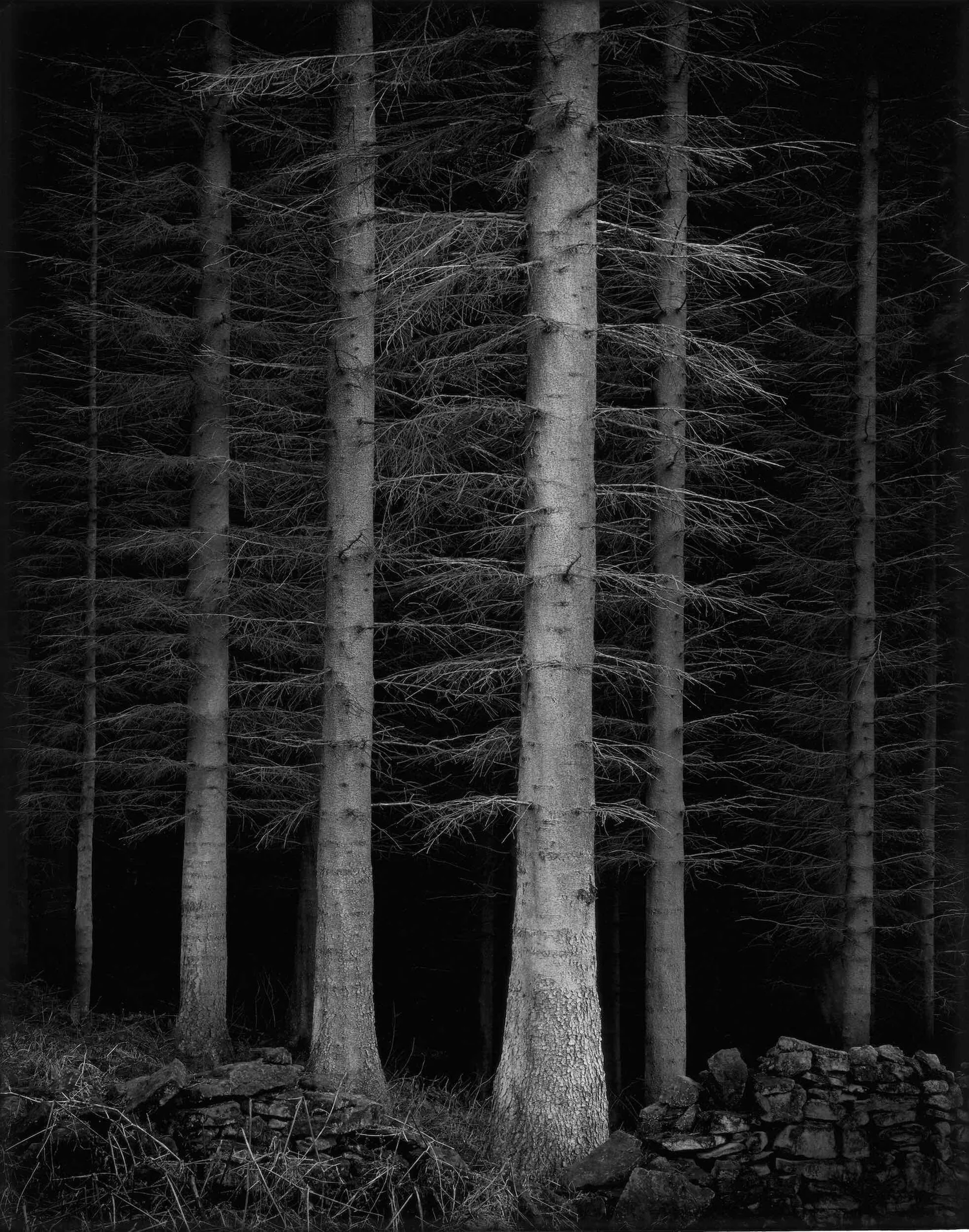 TRUNCATED — PAUL HART