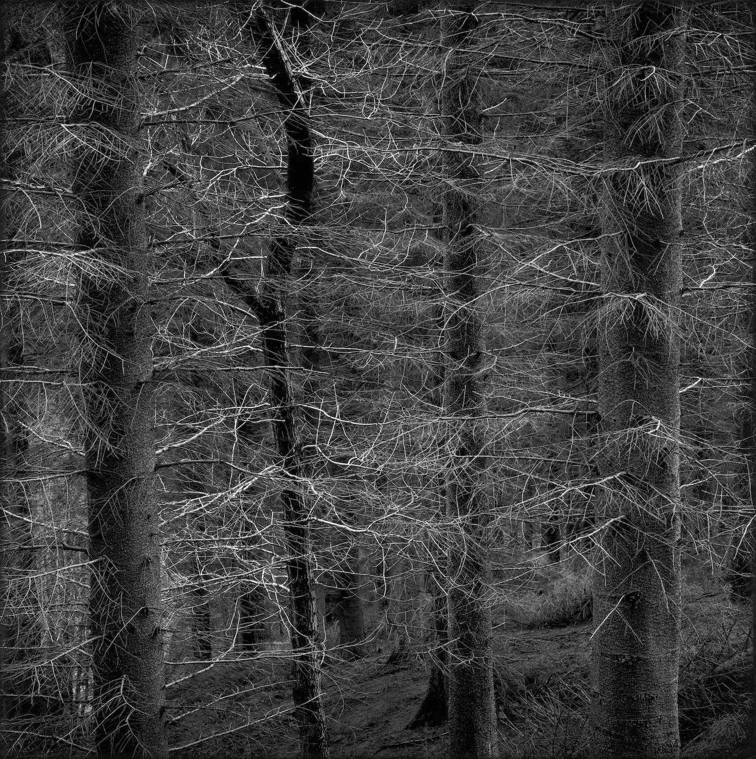 TRUNCATED — PAUL HART