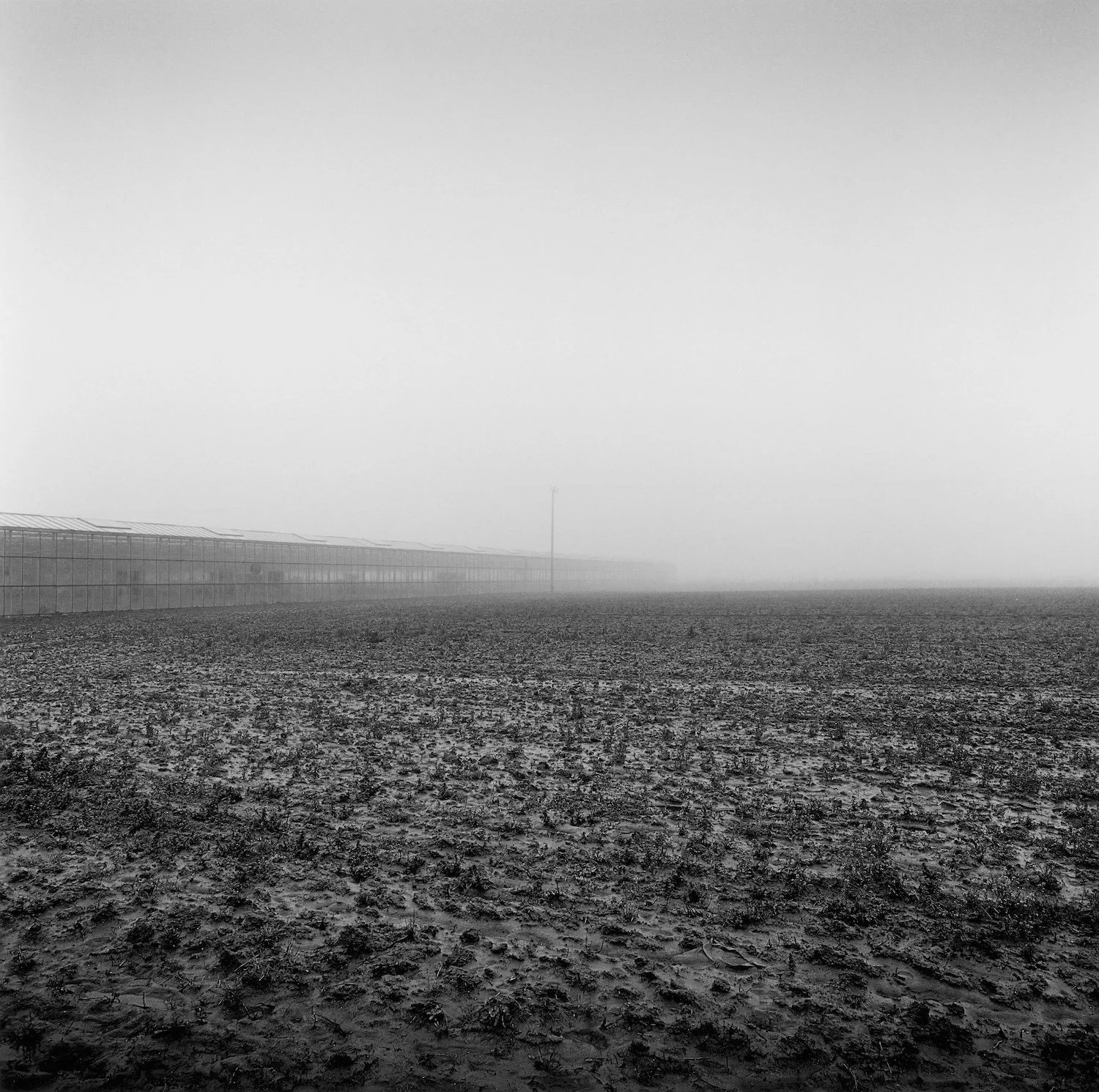 FARMED — PAUL HART