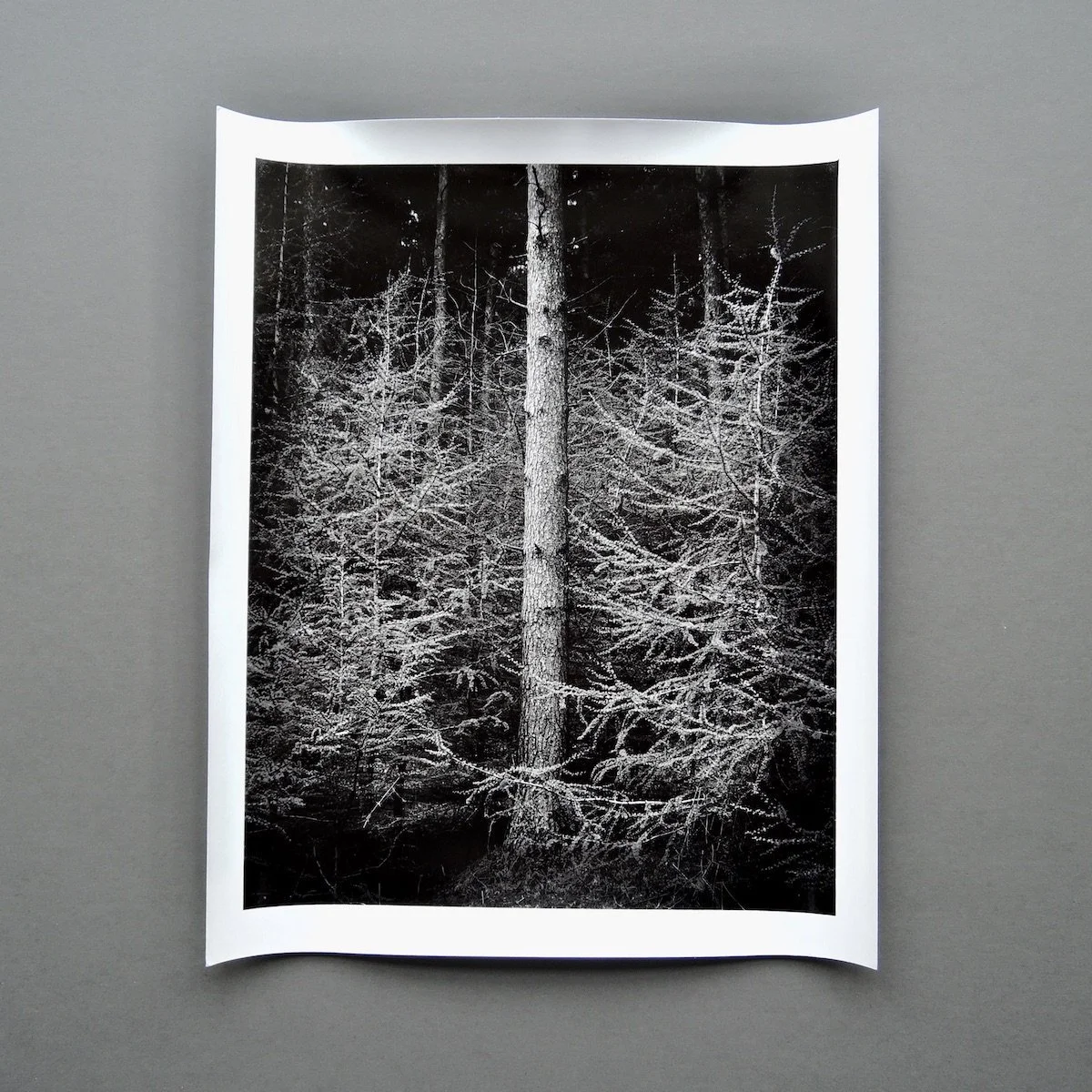 Photo books by Paul Hart — PAUL HART