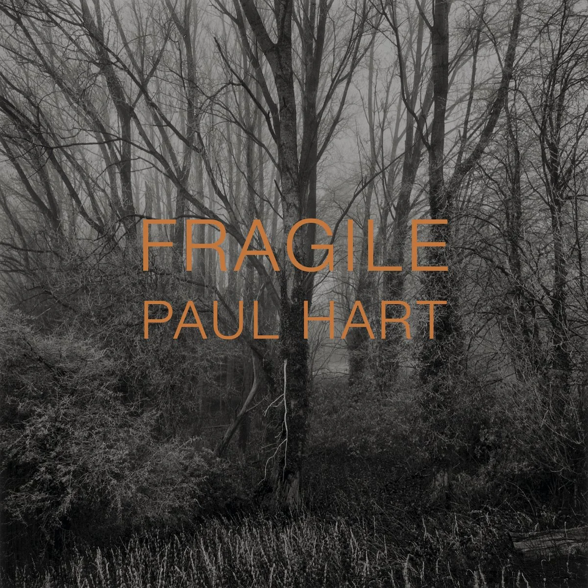 Photo books by Paul Hart — PAUL HART