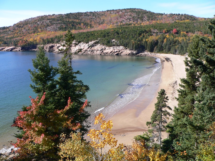 Seawall Campground Acadia National Park Sites