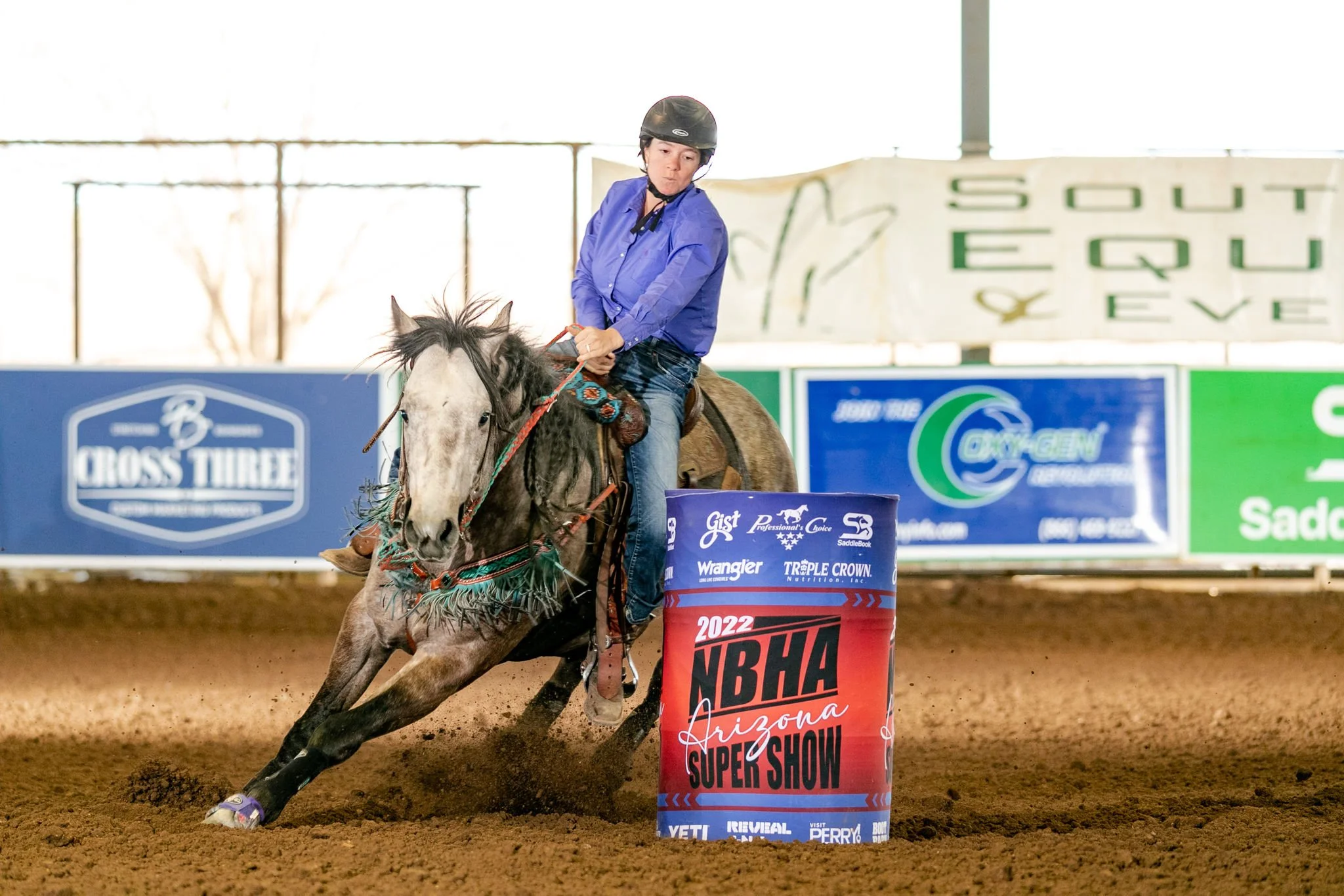 Training — Galloping with Guidance
