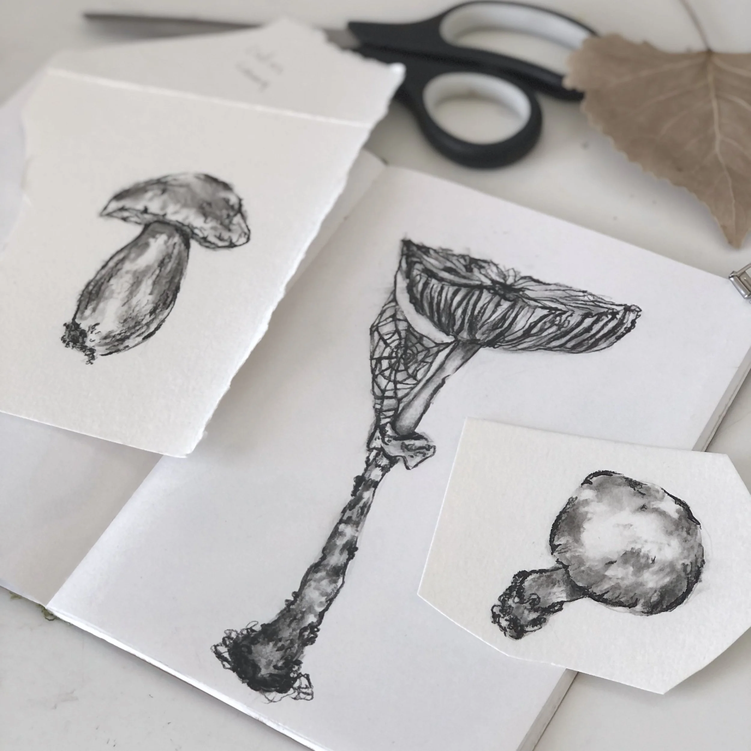 30 Fall Inspired Sketchbook Ideas — A painted page