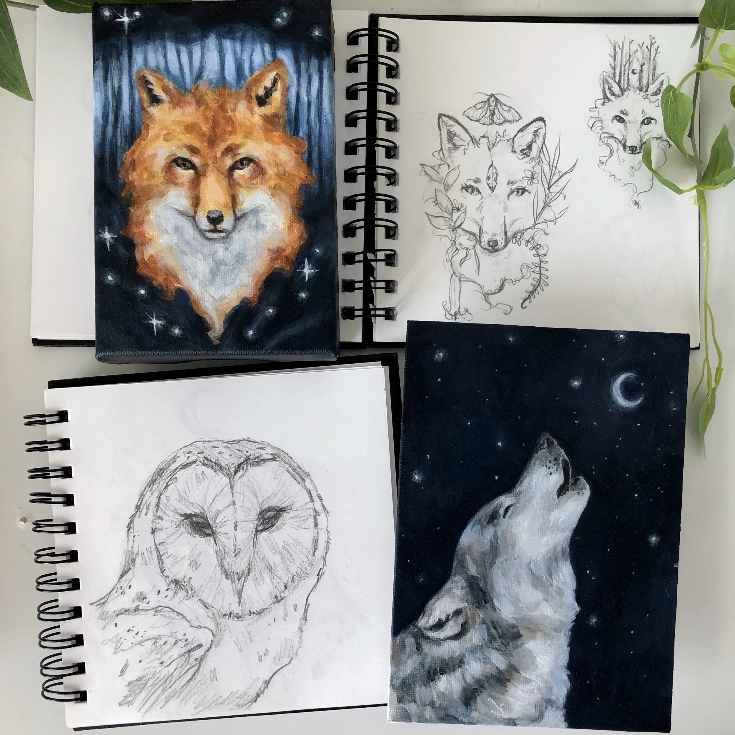 Inspiring Drawing Ideas