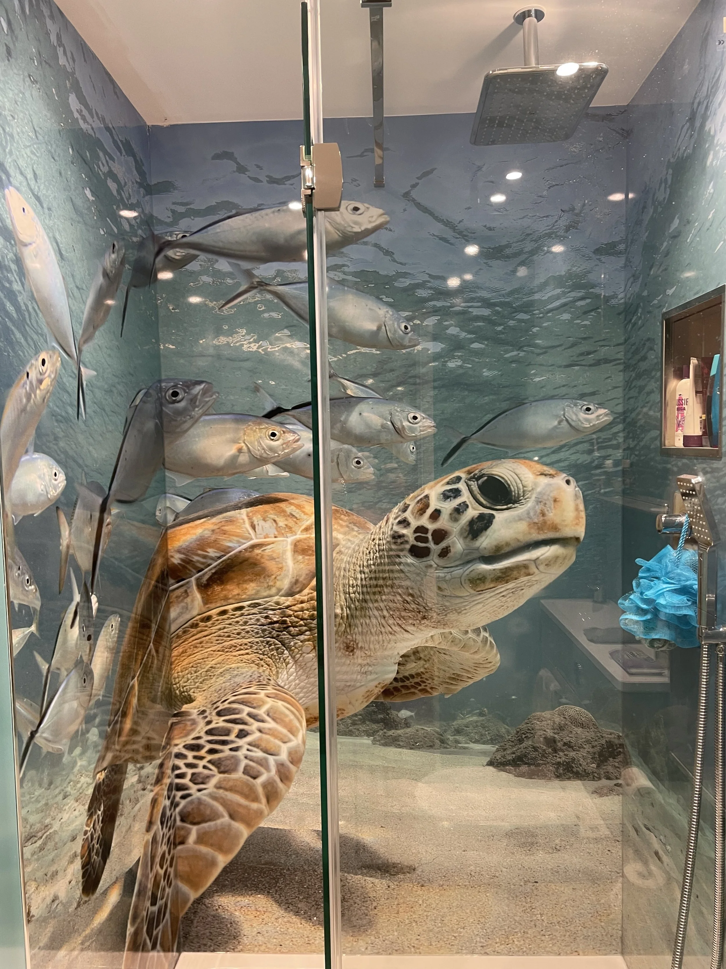 Turtle Shower Panels — Showerscape