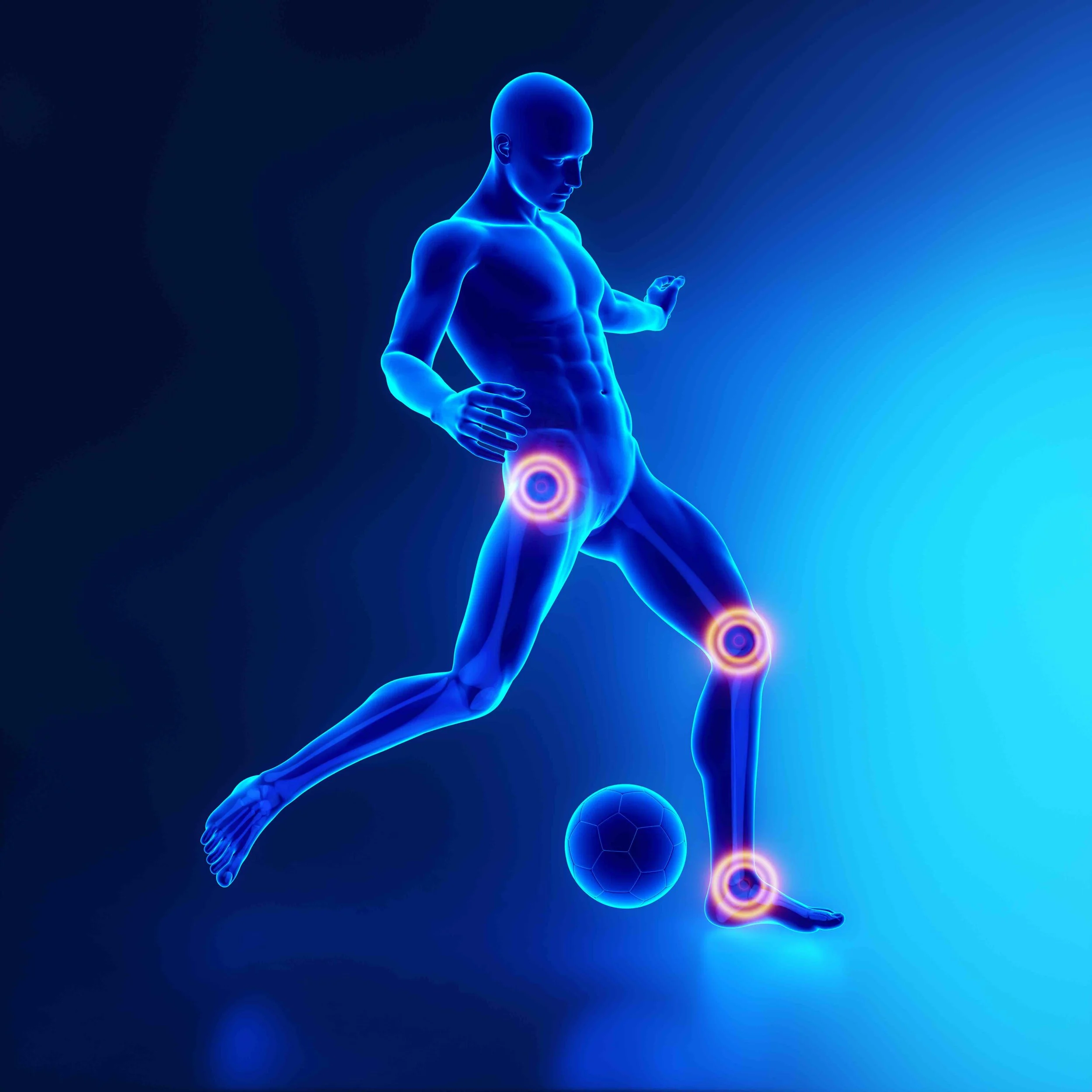 Hip, groin & hamstring - Specialist Rehabilitation | SPARC
