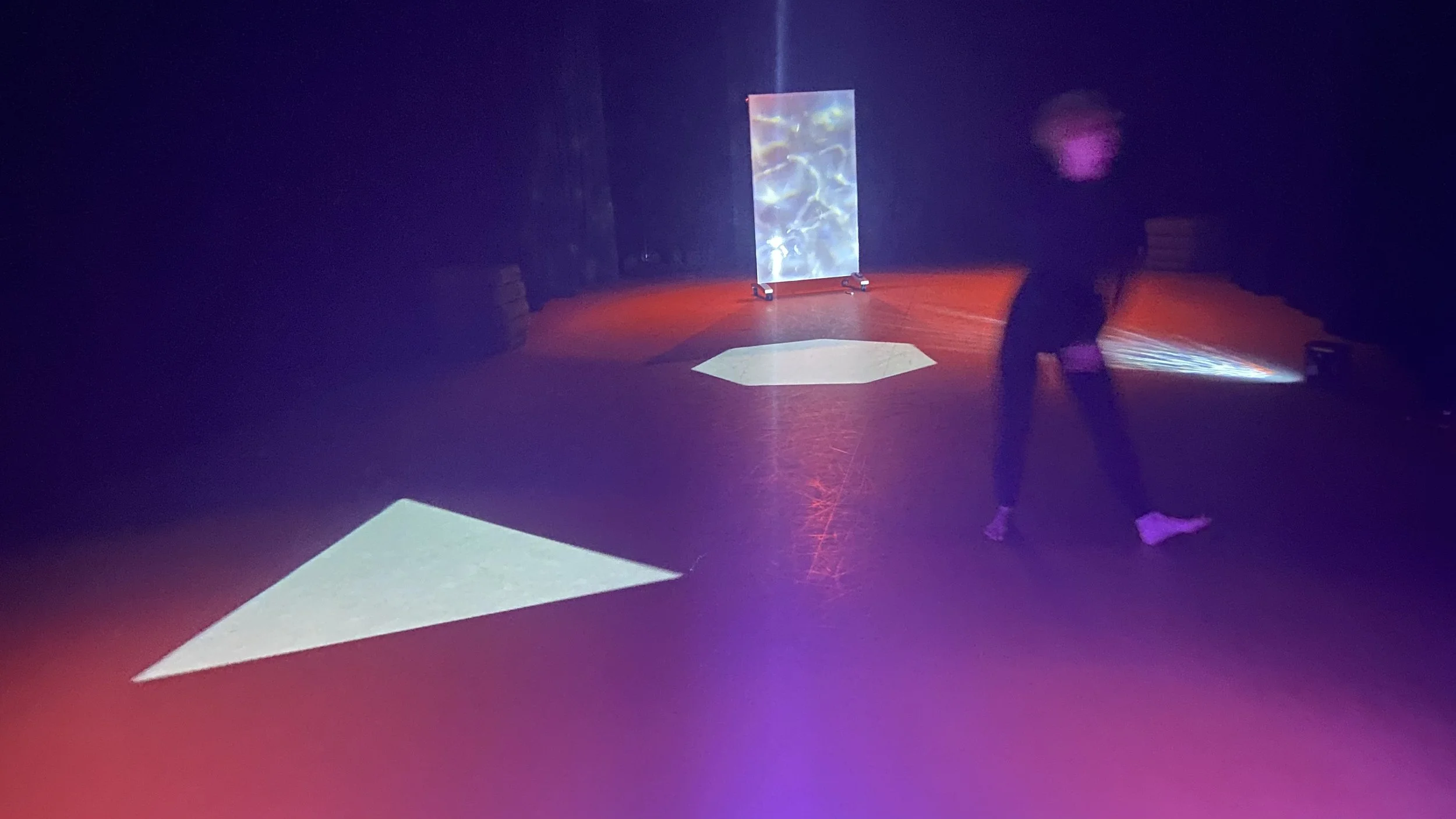 dance prompts — cari ann shim sham*