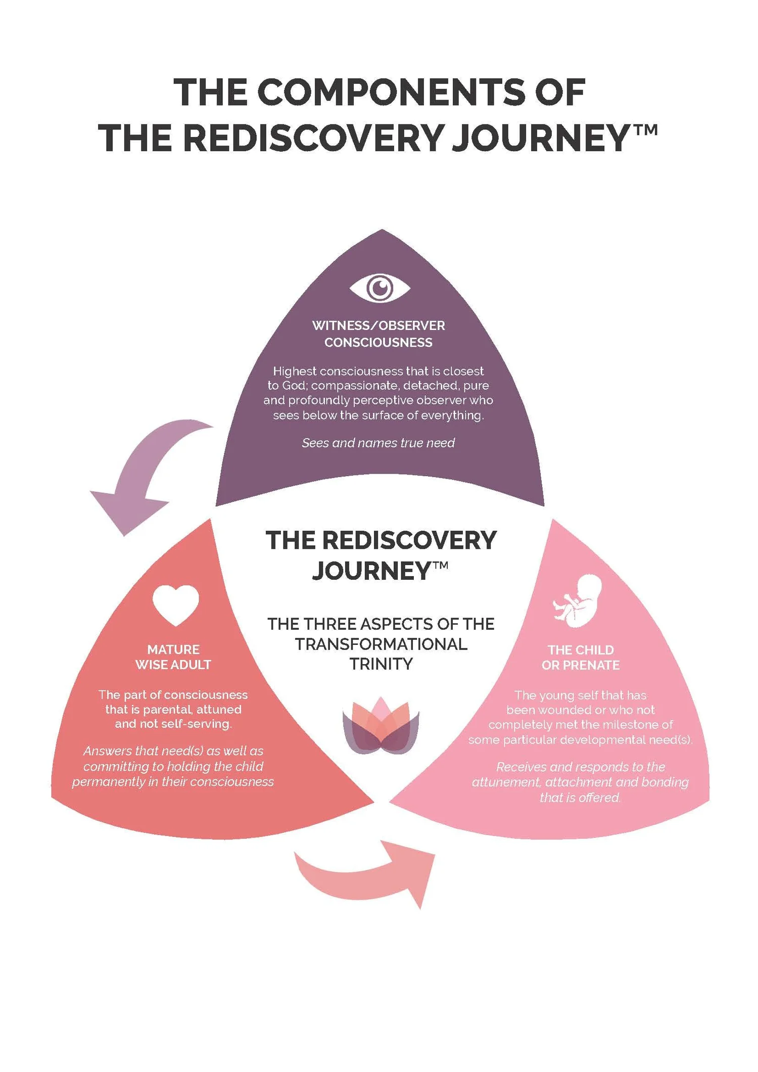 The Tara Approach — The TARA Approach