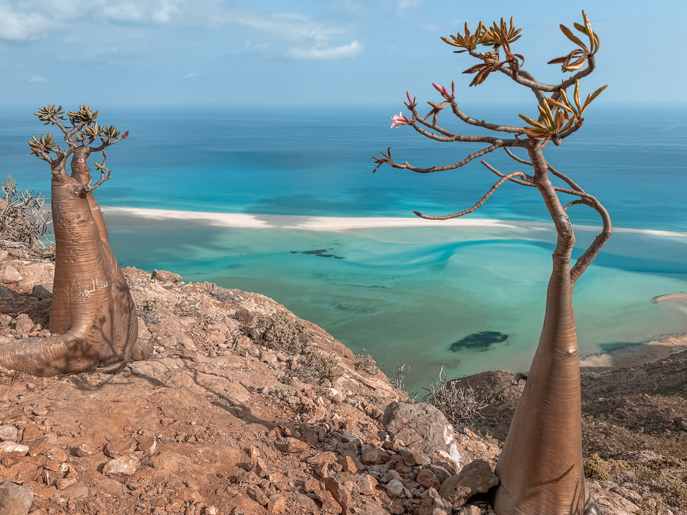 Socotra Island: Step Into A Place Beyond Imagination | Lust In Her World | Travel Blog