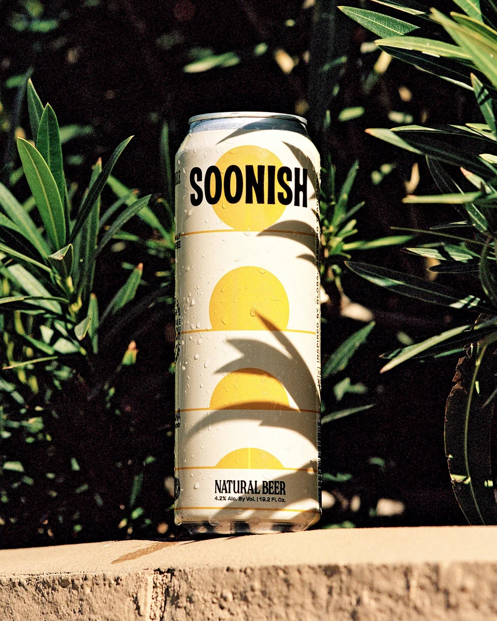 BIONDO — 𝒟ℰ𝒮ℐ𝒢𝒩, ℰ𝒯𝒞.