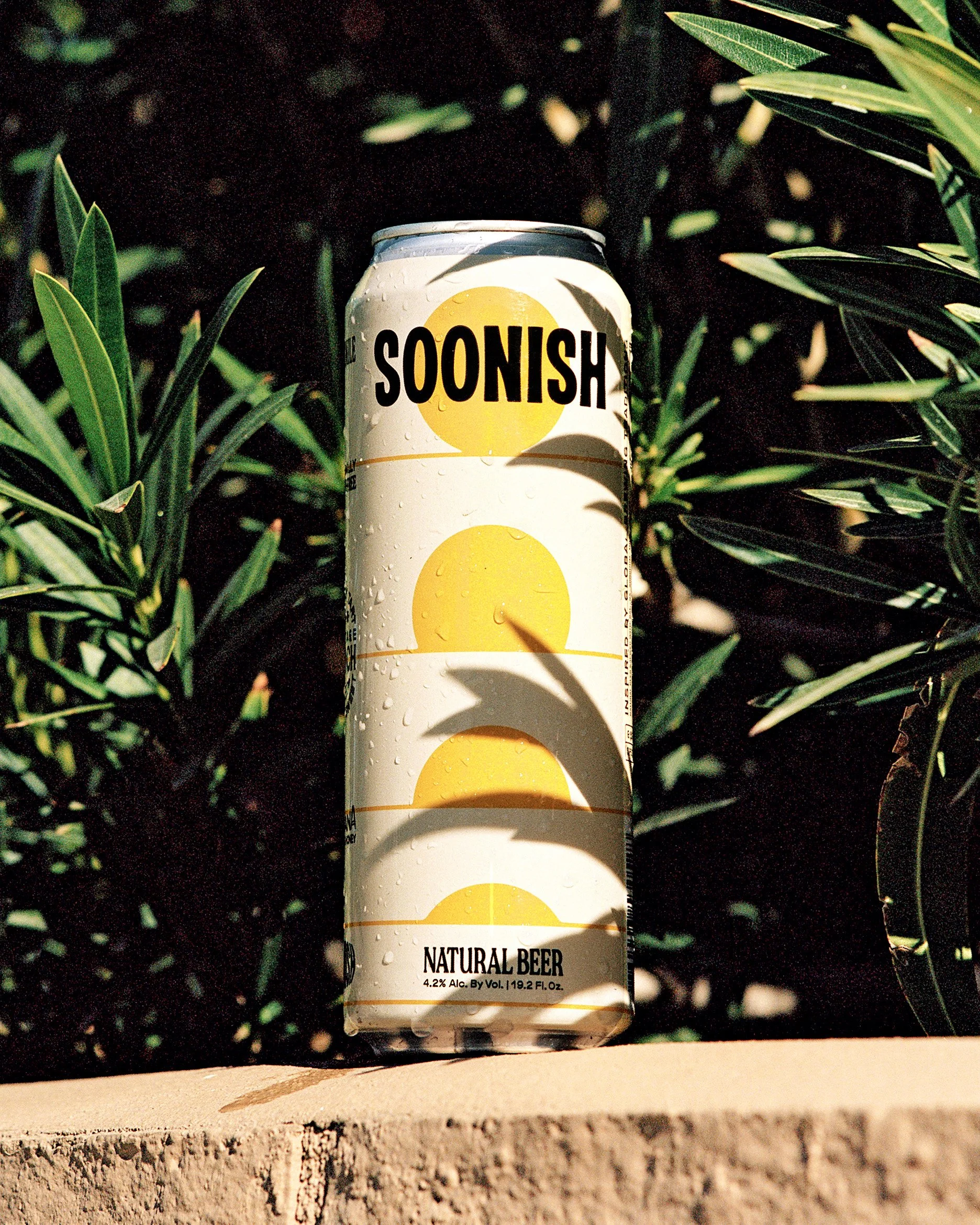 BIONDO — 𝒟ℰ𝒮ℐ𝒢𝒩, ℰ𝒯𝒞.