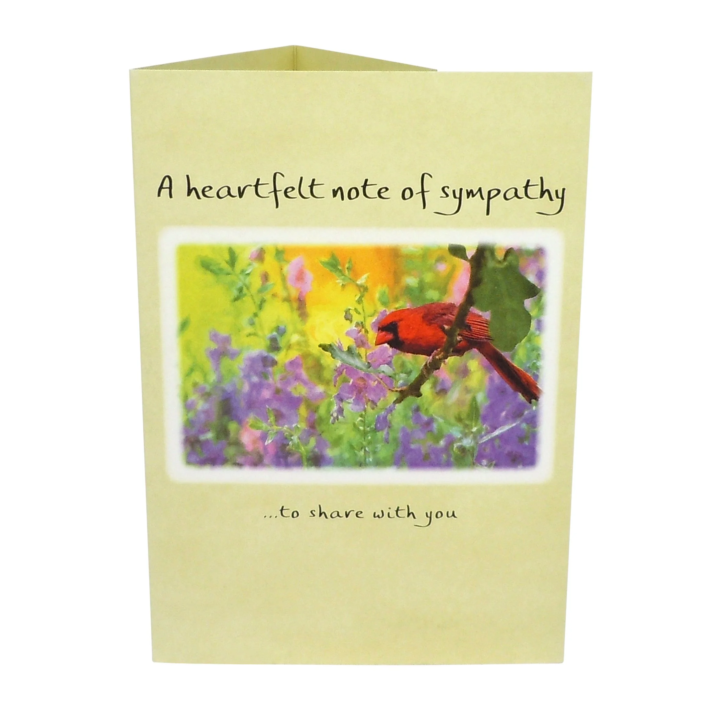 “A heartfelt note of sympathy” by Douglas Pagels — Blue Mountain Arts “A heartfelt note of sympathy” by Douglas Pagels — Blue Mountain Arts