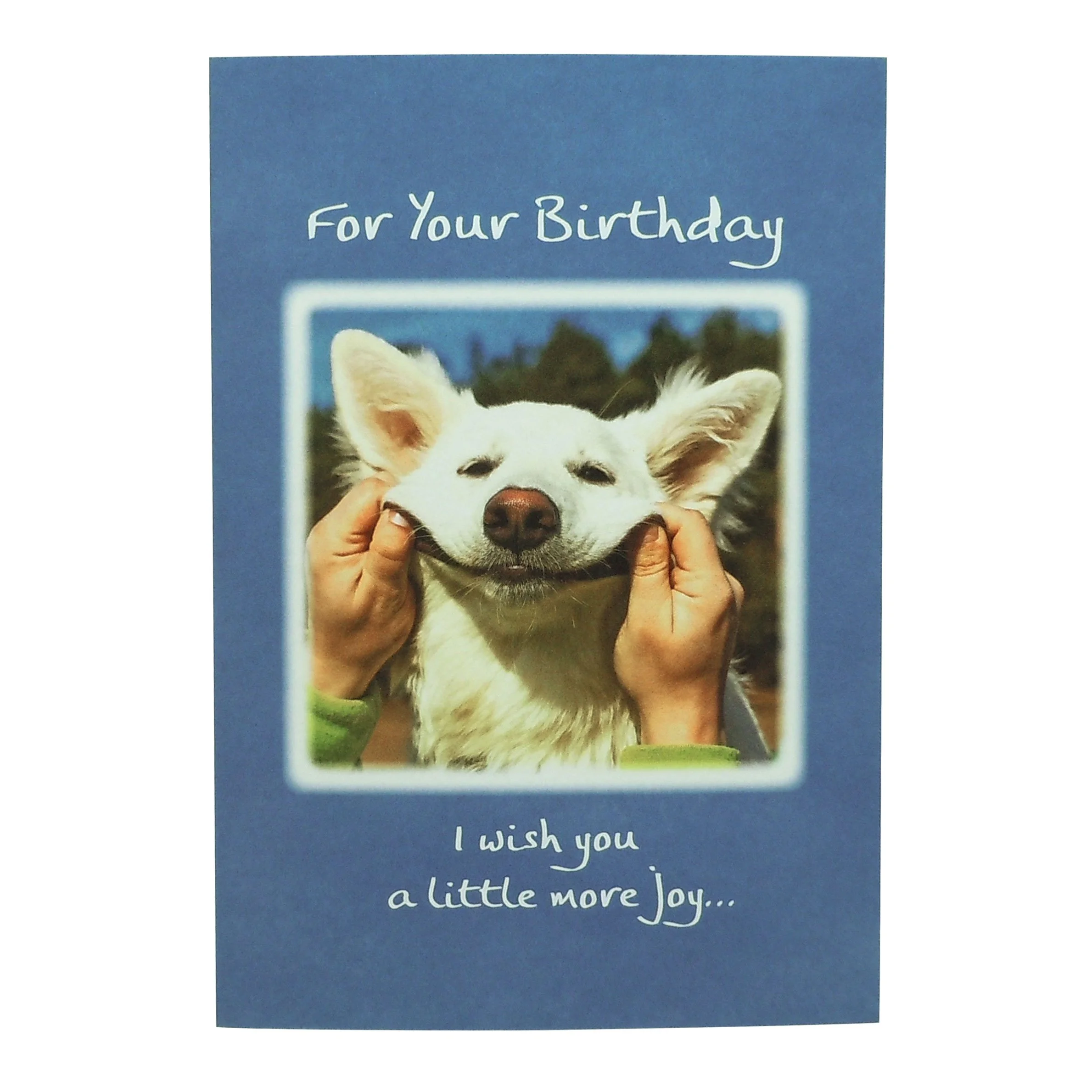 Dog Card Assortment Pix Pagels Blue Mountain Arts