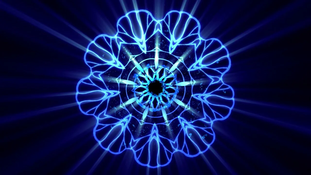 Flora Indica — h.dd8