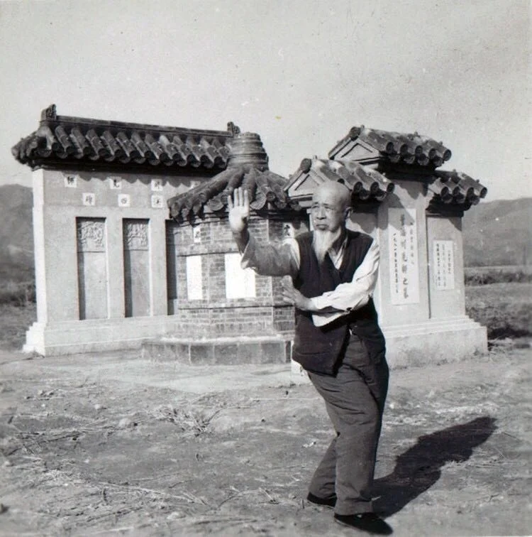 Flying Tortoise Kung Fu